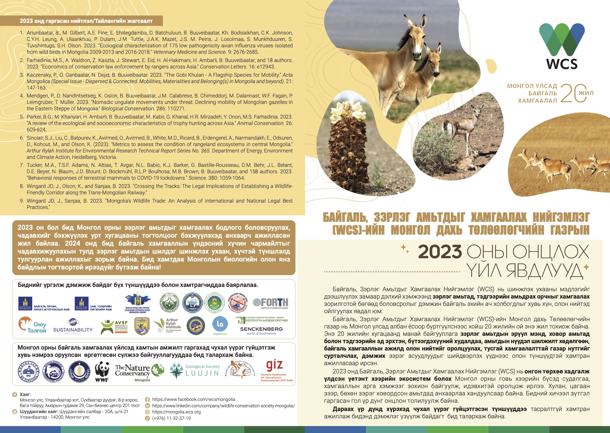 Celebrating 20 Years of Wildlife Conservation: A Look Back at WCS ...