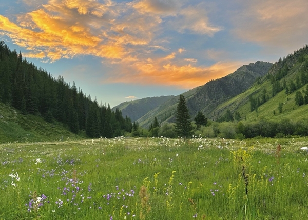 New GEF-Funded Project Launched to Restore Khangai Mountain Landscapes ...